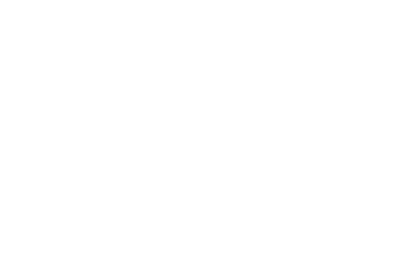 Embion - We Make Green Energy Work